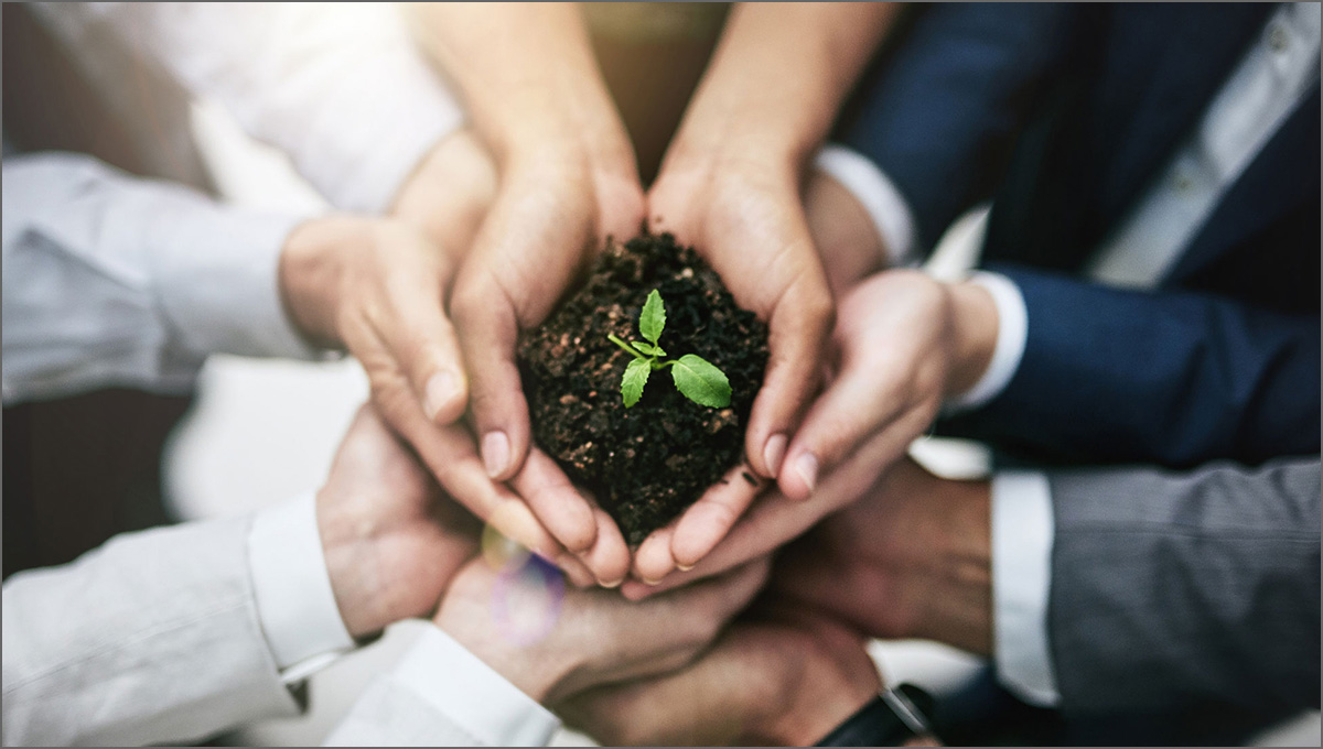 Build Back Better: Meet Today’s Leadership Challenges - Wharton