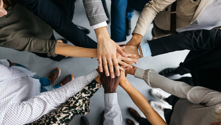 Using Neuroscience To Create High Performing Teams Wharton Executive