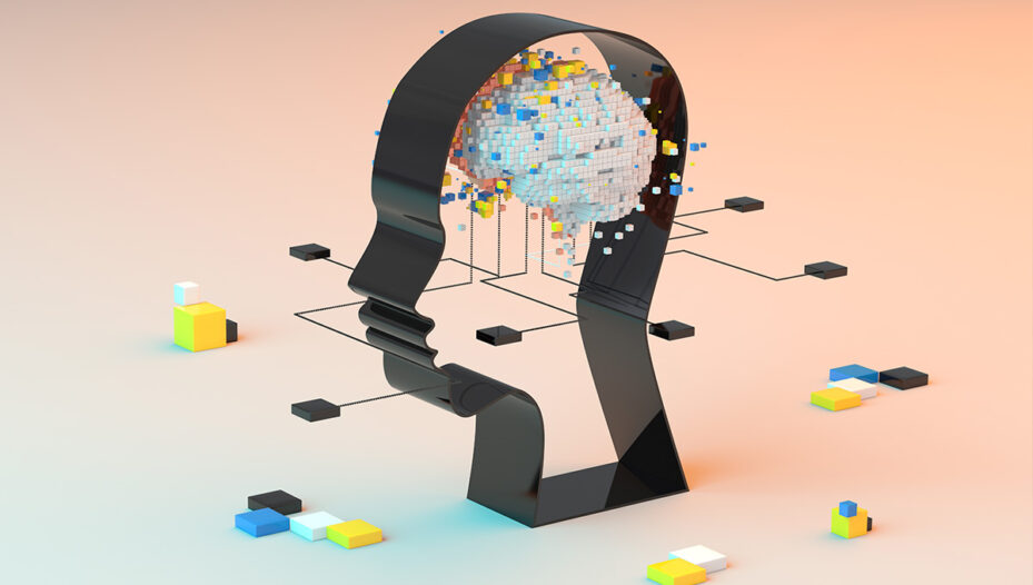 The Right Left Brain Myth And More Neuroscience Insight Wharton